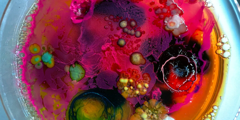 From Laboratories to Galleries: The Rise of BioArt - TITLE MAG